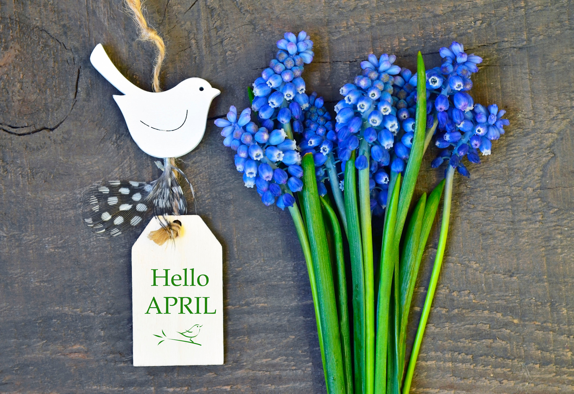 April Intentions: Daily Affirmations for Personal Growth, Health ...
